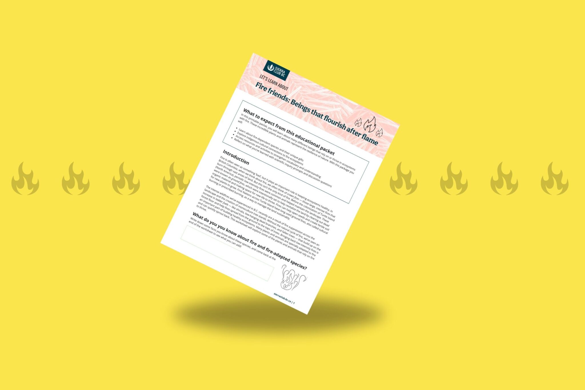 Educational Packet: Get to Know Fire-Dependent Species - Sierra Club BC