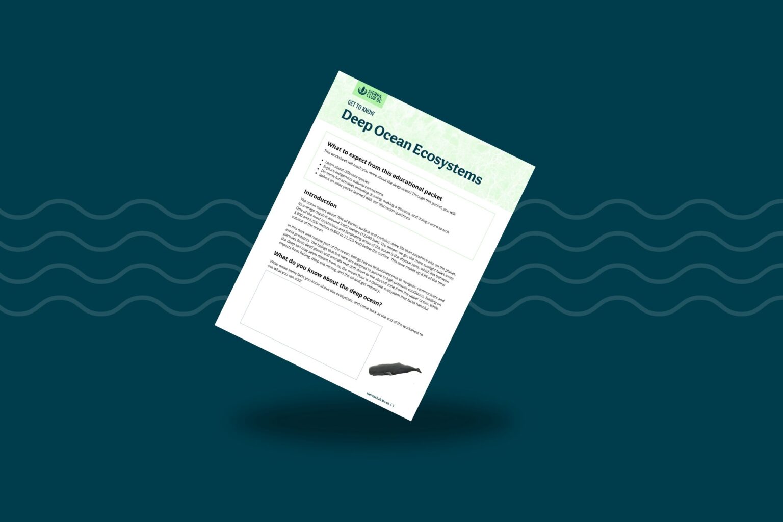 Deep Ocean Education Packet for Grades 4+ - Sierra Club BC