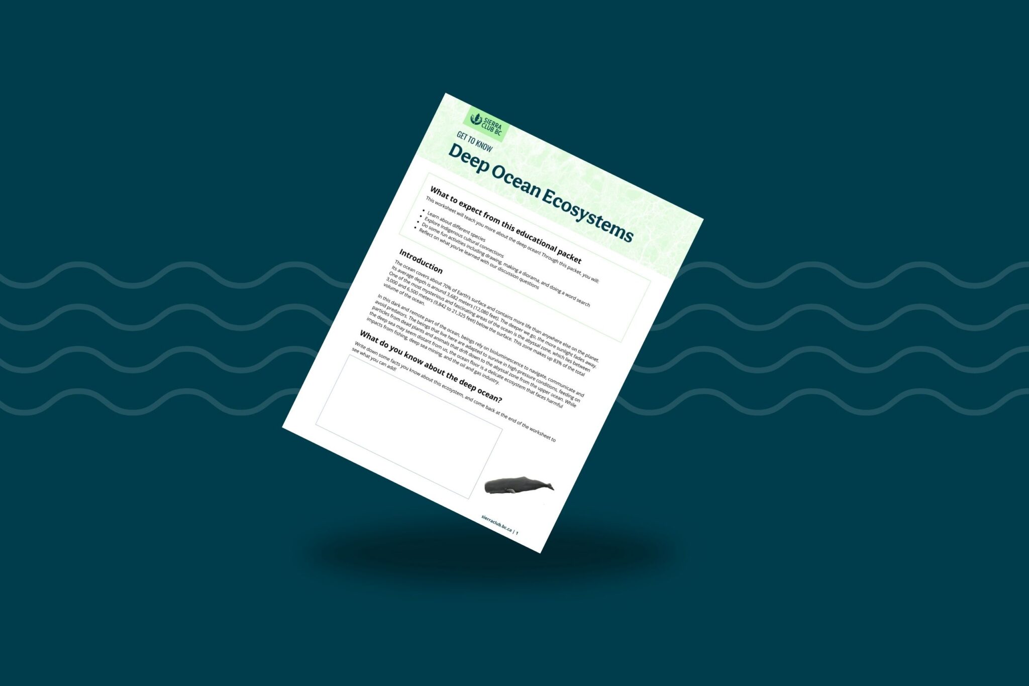 Deep Ocean Education Packet for Grades 4+ - Sierra Club BC