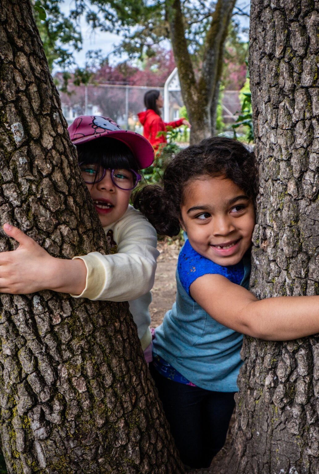 Diorama Activity: Urban Heat and Cooling your Community - Sierra Club BC