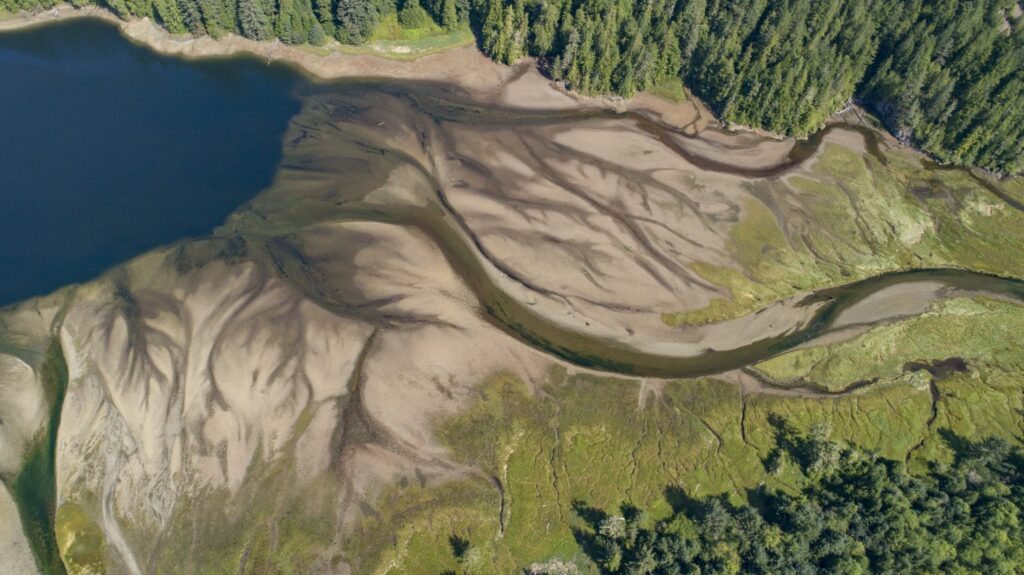 NEW RESEARCH: Ancient Forest Gardens in Nuchatlaht ḥaḥuułiʔakʔi ...